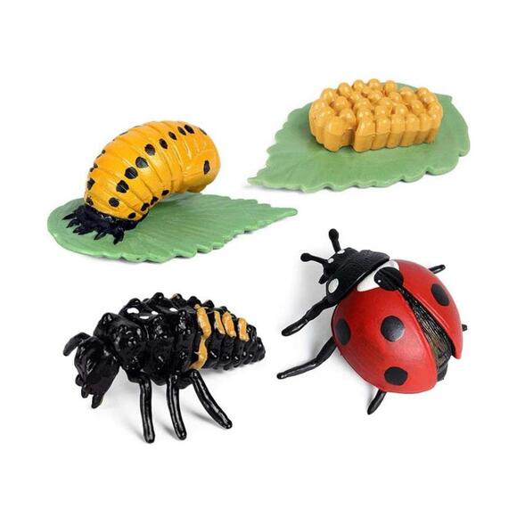 Toys | Insect Ladybug Growth Cycle Figurine Ladybug Life Cycle Model ...
